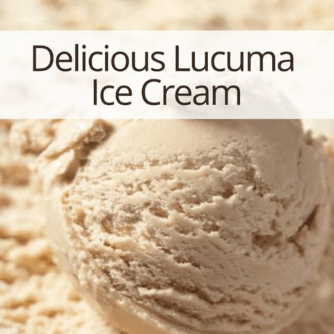 Delicious Lucuma Ice Cream recipes – Alovitox