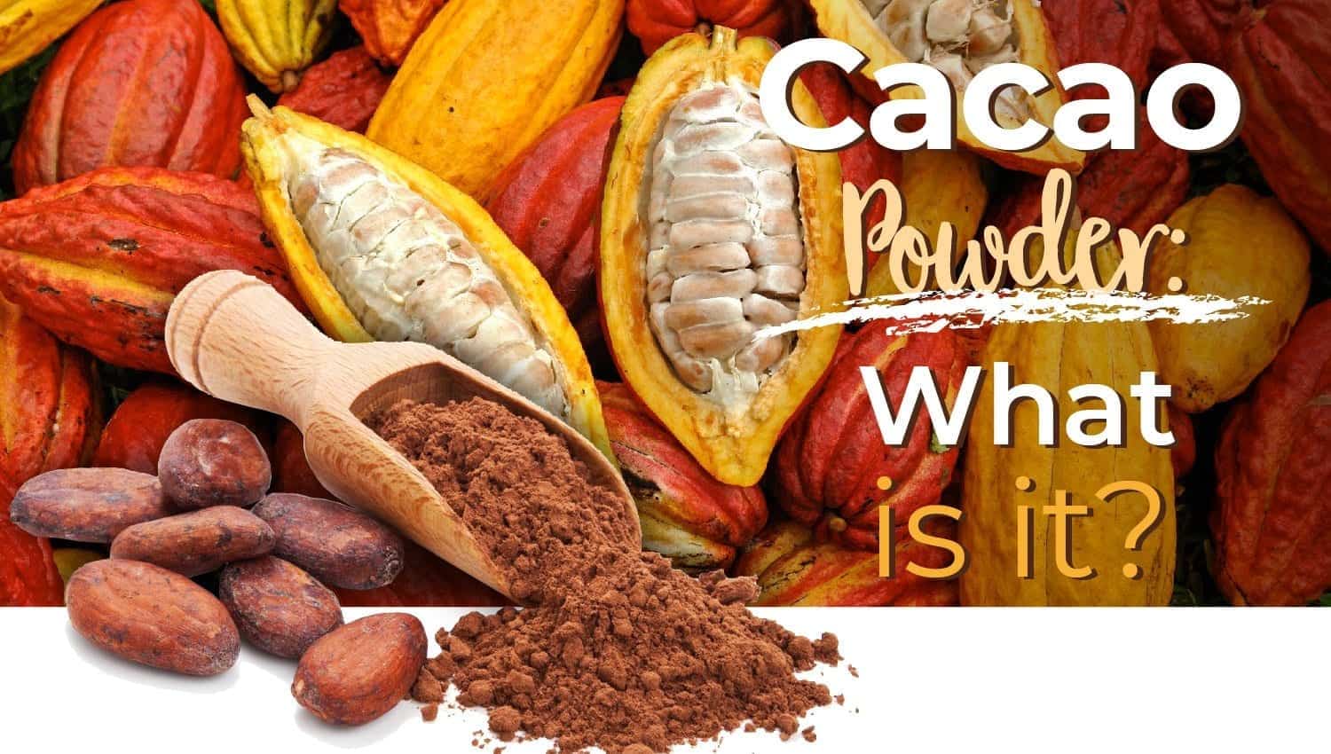 Cacao Powder - What is it? | Cocao vs. Cocoa | ALOVITOX® Superfoods ...