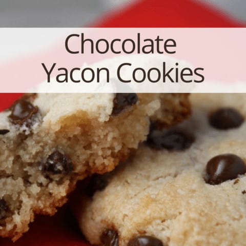 Chocolate Yacon Cookies recipes – Alovitox