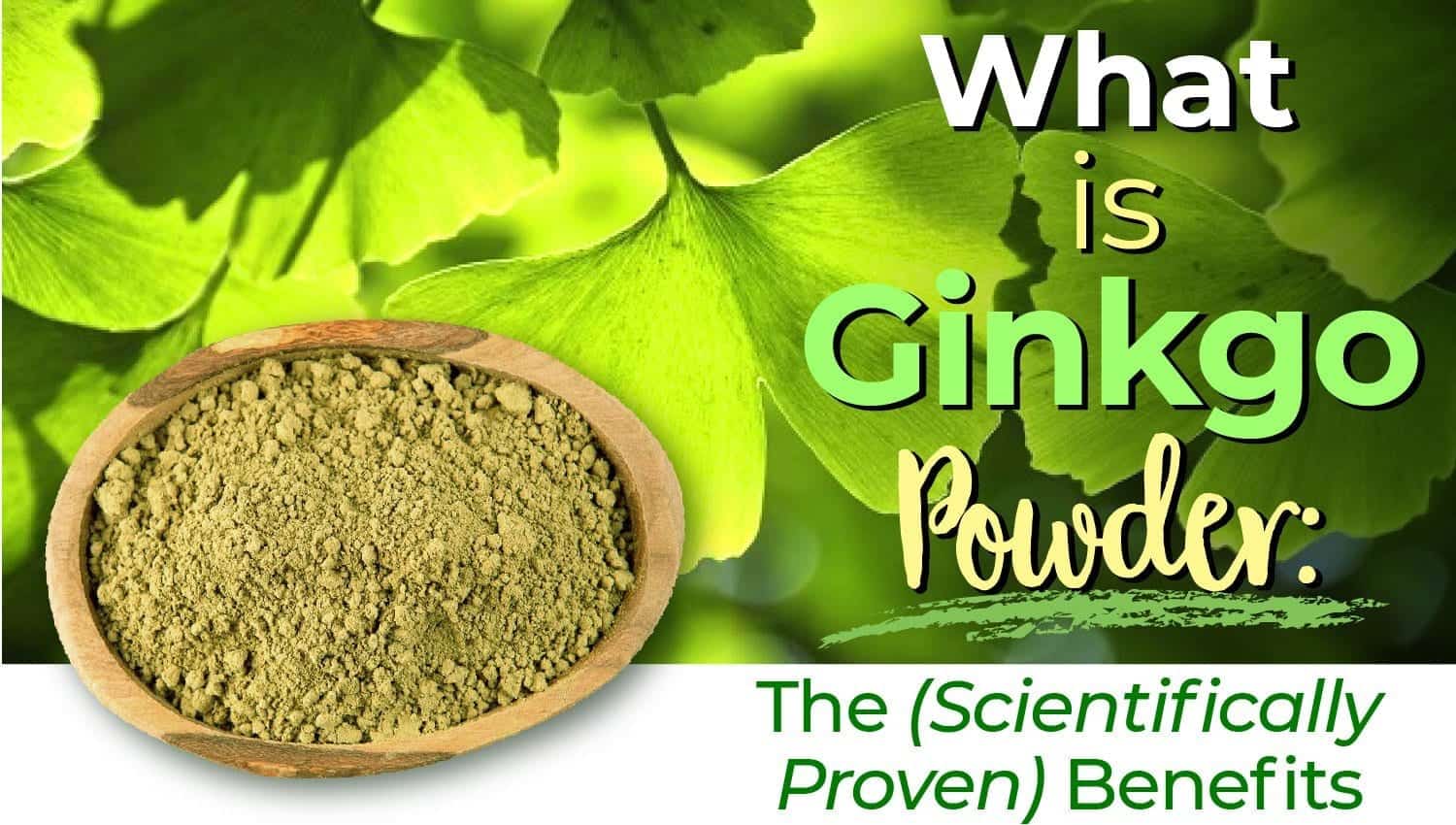 What is Ginkgo? | The (Scientifically Proven) Benefits of Ginkgo Bilob ...