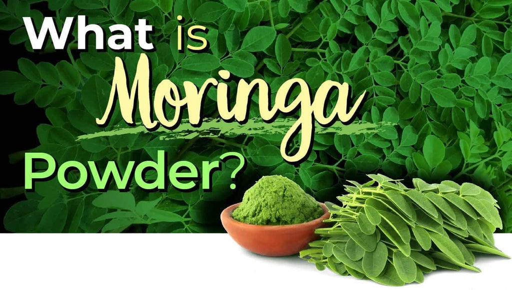 What is Moringa Powder? 3 Simple Ways to Use It | Blog | Alovitox Orga