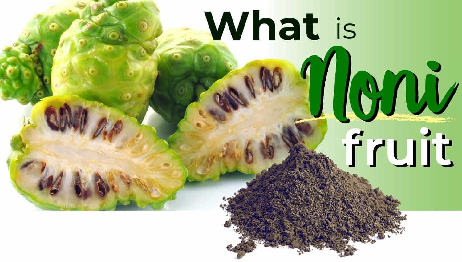 What Is Noni Fruit? | What Makes It So Special? | Blog | ALOVITOX® Org ...